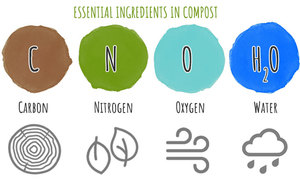 Brown Composting Materials (Everything you Need to Know)