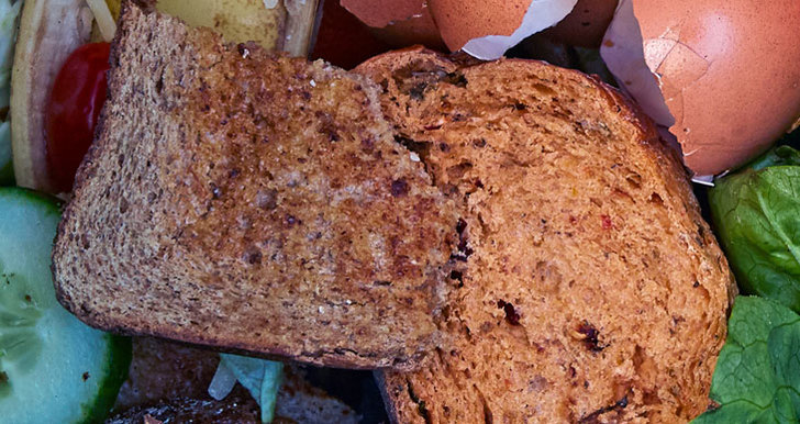 Can You Compost Bread? (Composting Bread made Simple)