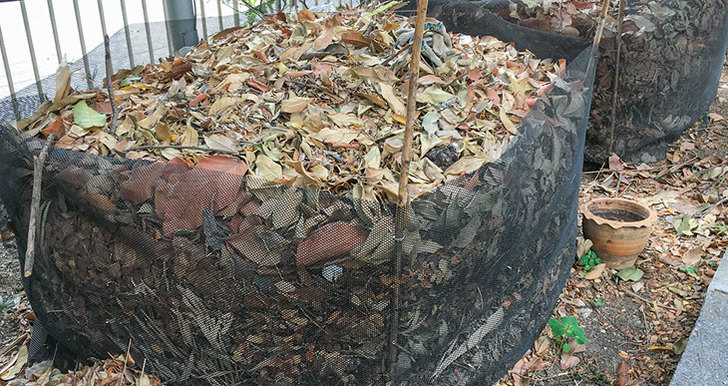 How To Side Dress Compost (The Right Way!)
