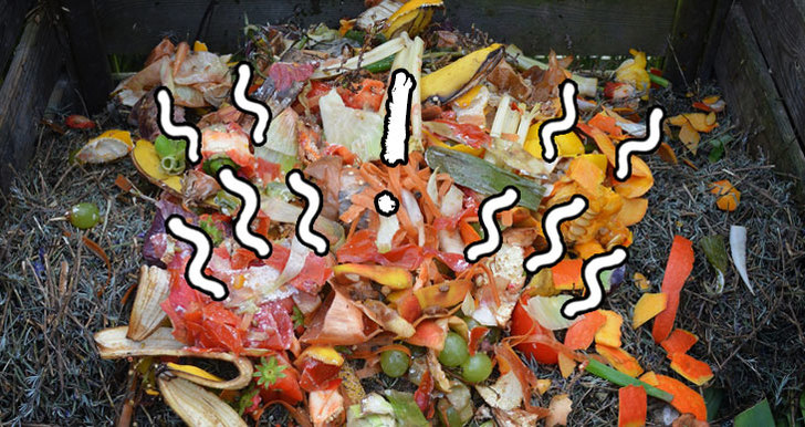 Stages Of Composting (How Composting Works)