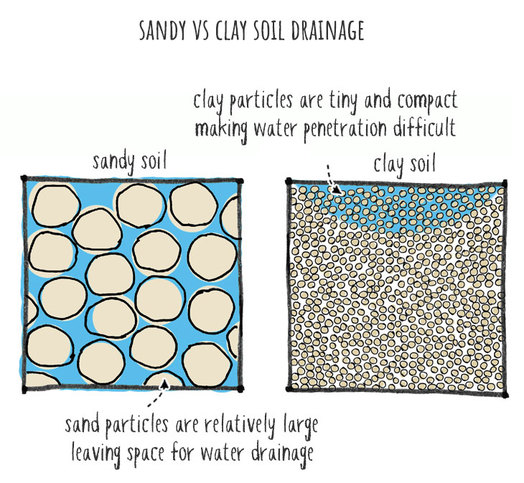 How To Turn Bad Soil Into Good Healthy Soil (Easy Fixes!)