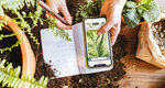Compost Materials Chart (List of Ingredients)