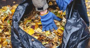10 Types of Compost You Need to Know