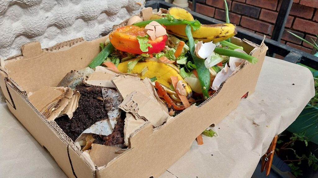 Stages Of Composting (How Composting Works)