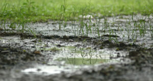 How To Firm Up Muddy Ground (Perfect Solutions!)