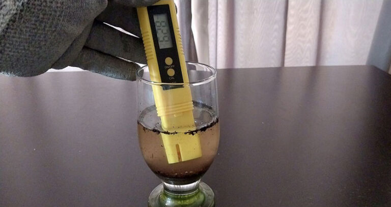 Is Clay Soil Acidic Or Alkaline? (Fixing pH Like a Pro!)